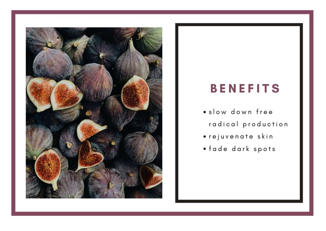 Fig—Skin Care Benefits And Products - Dry Skin Advice